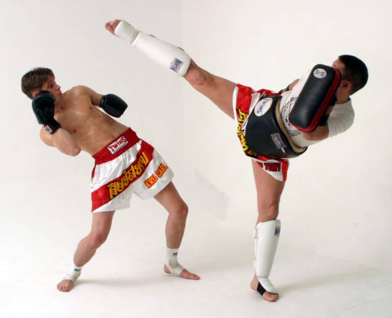 Krav Maga vs Muay Thai vs Systema | 3 fighting styles explained